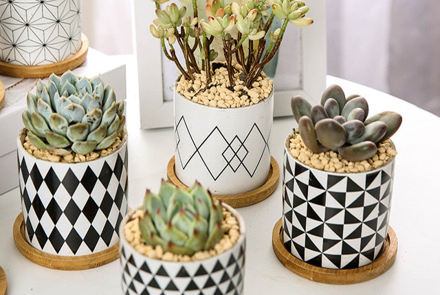 Geometric pots - succulent planters with plate - ceramic pots (7.1cm ...