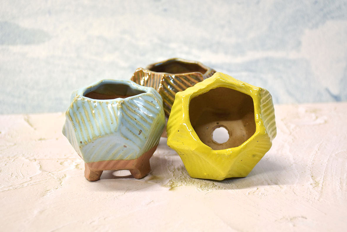 Polygon ceramic planters - succulent pots - Garden design (7cm×6.5cm ...
